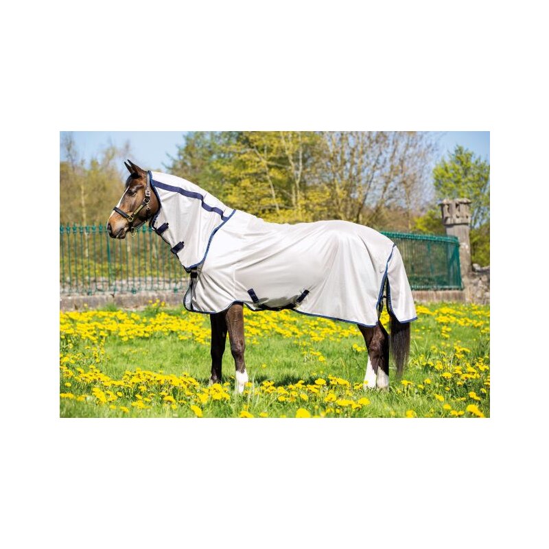 Reitsport SportErfurth.de